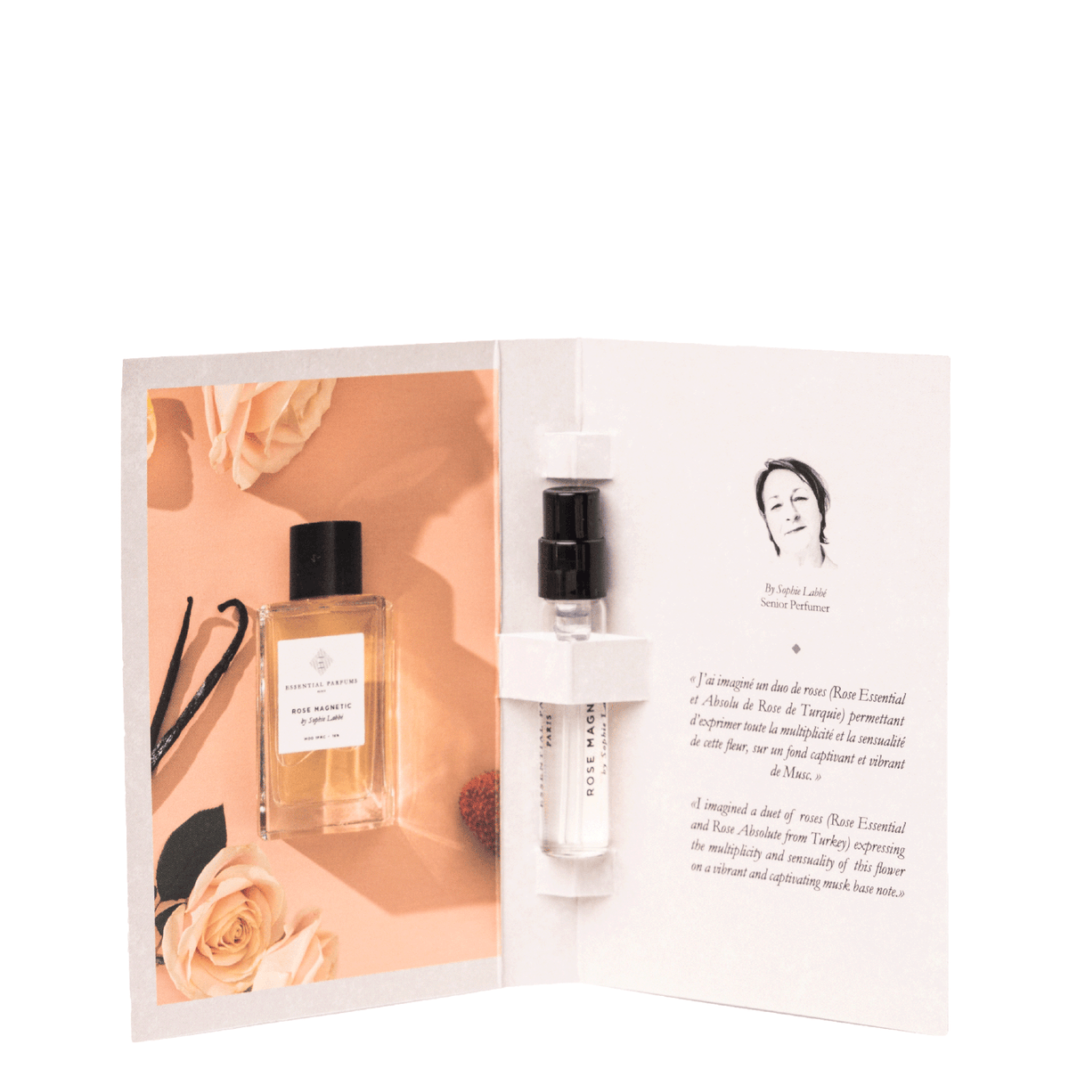 Rose Magnetic – Twisted Lily